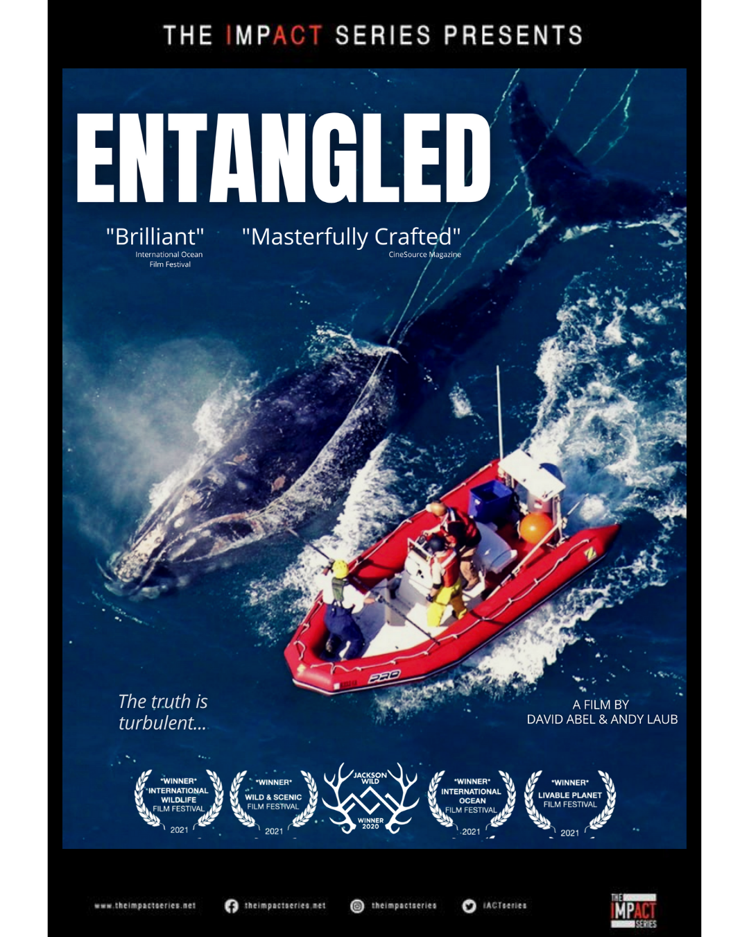 Entangled – The Impact Series